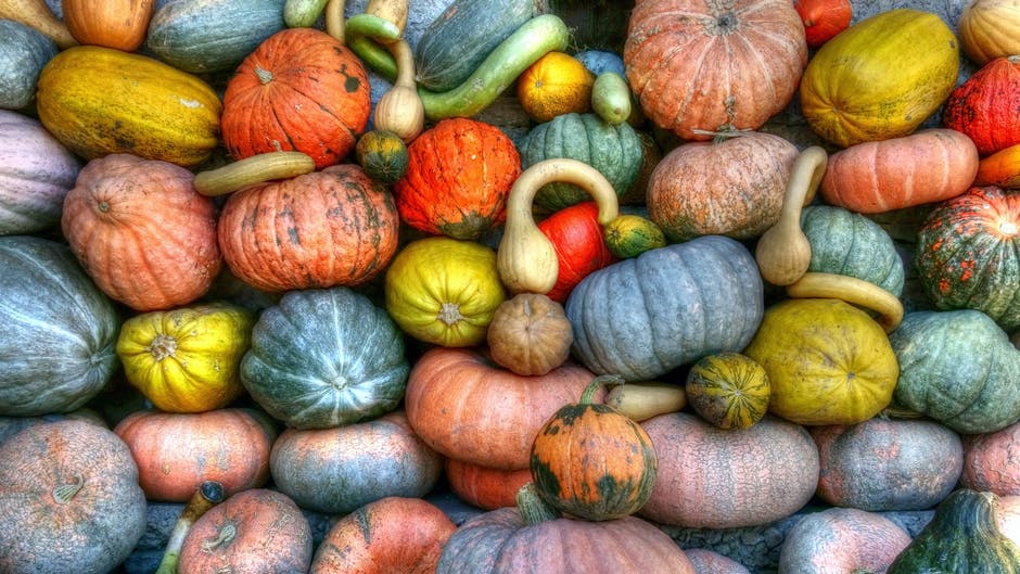 Cosa mangiare in autunno? Ecco la frutta e la verdura adatta in questa ...